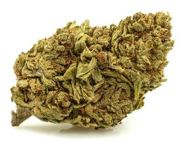 CBD DEALS: The best cbd sales on Justbob