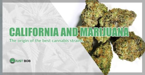What's the California weed strains? Let's find out