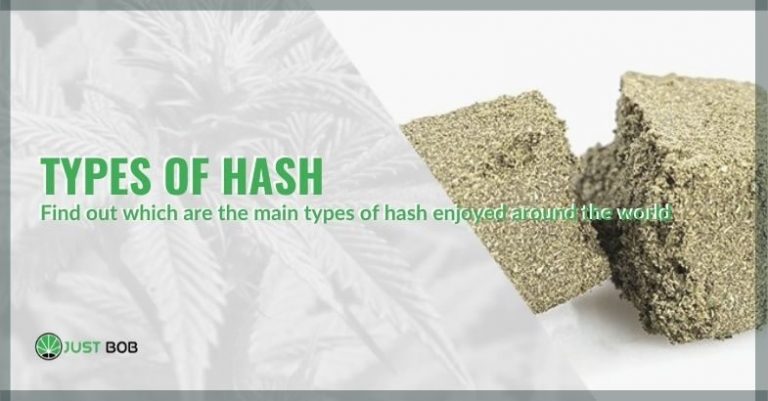 Types of hashish: the most popular varieties!