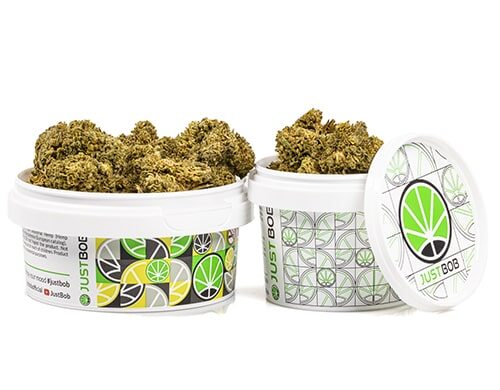 GELATO CBD BOOST: The best CBD Flower in Ireland - Justbob