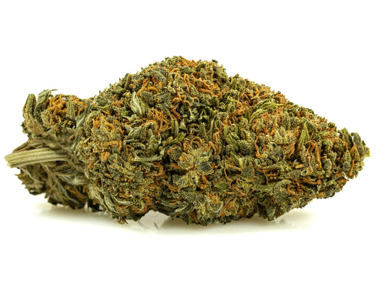 CBD DEALS: The best cbd sales on Justbob