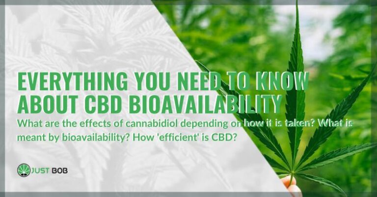 What is the bioavailability of CBD? Learn all its secrets!